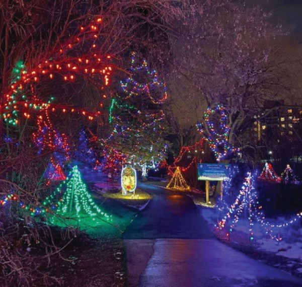 Christmas in the Park